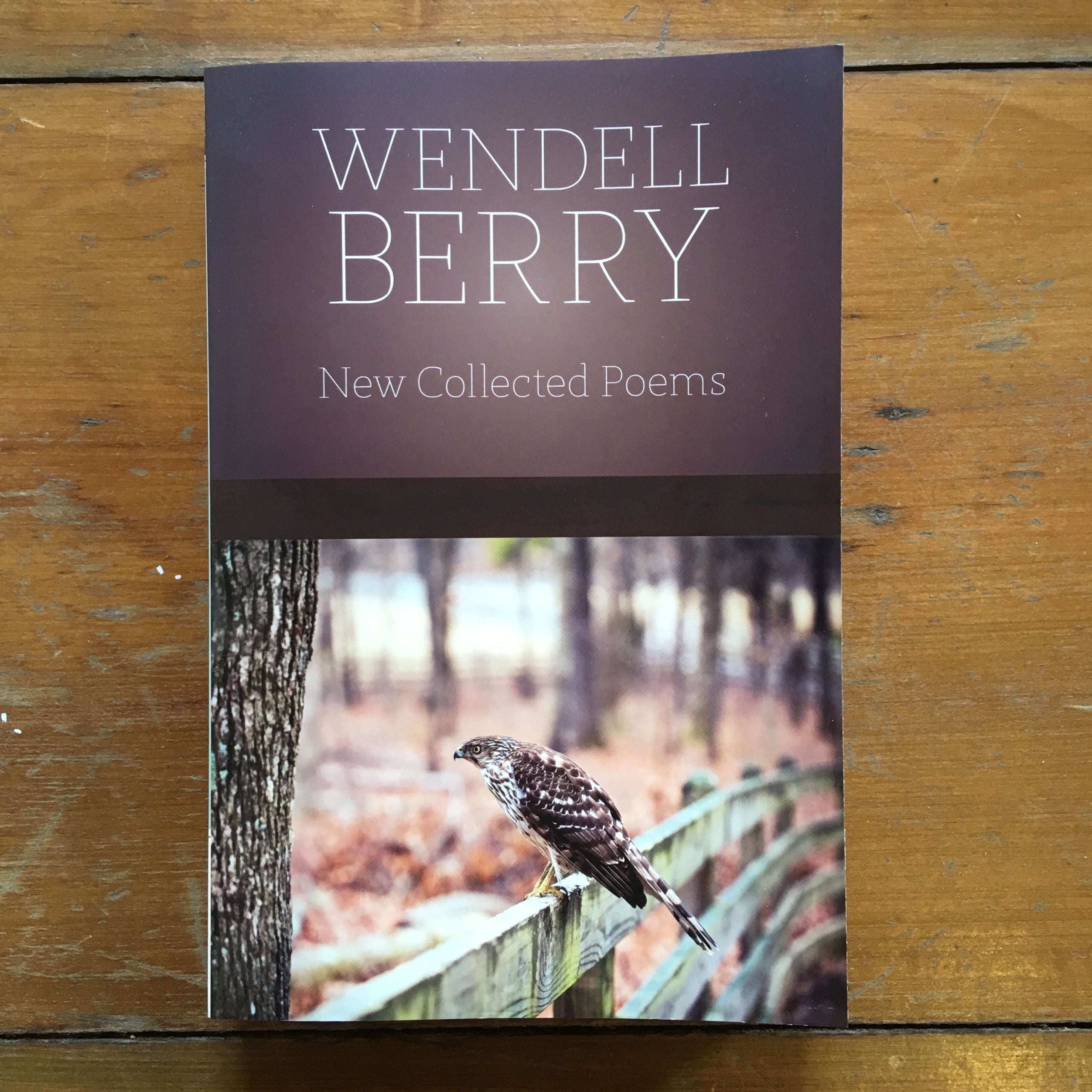 New Collected Poems | The Bookstore at The Berry Center