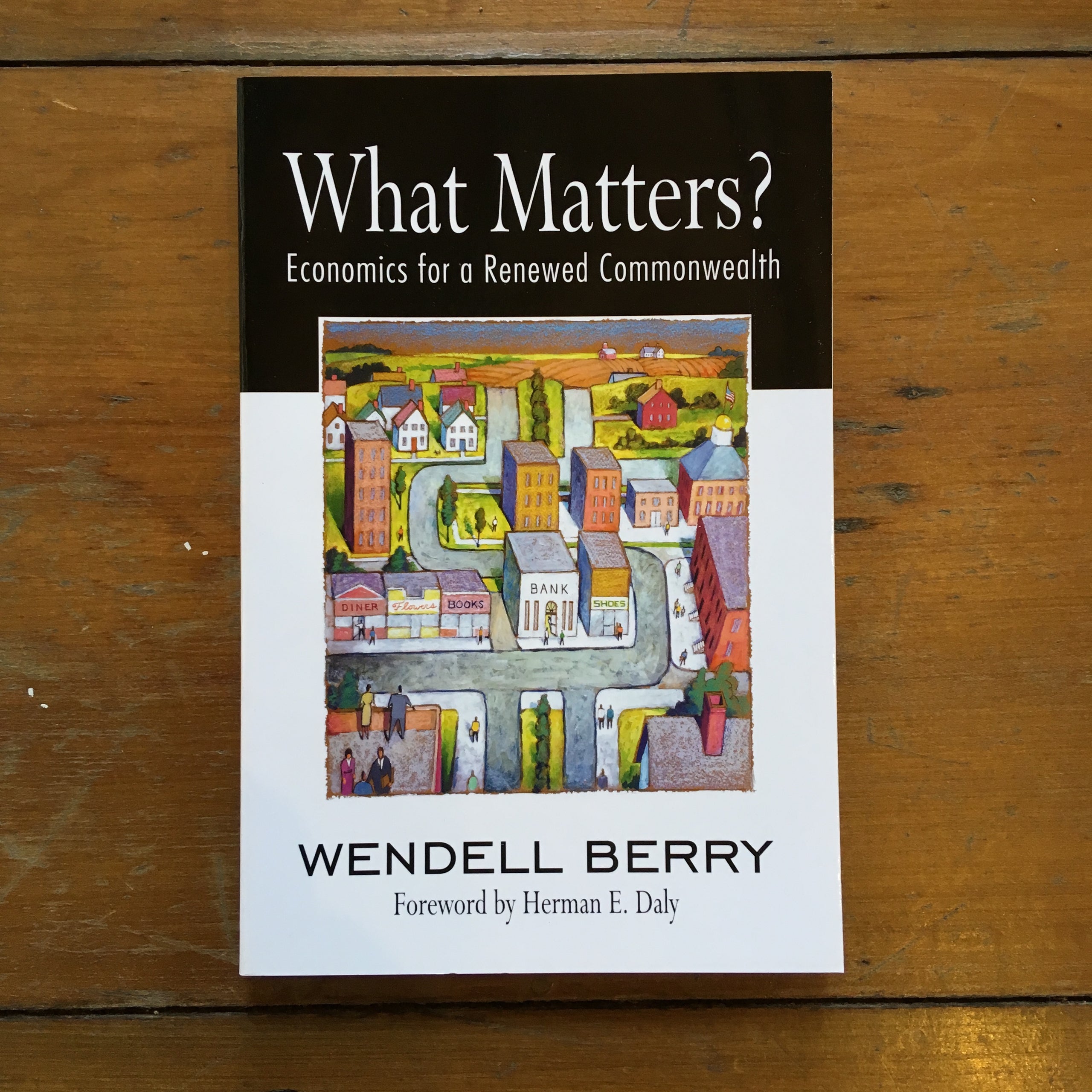 What Matters Economics For A Renewed Commonwealth The Bookstore At